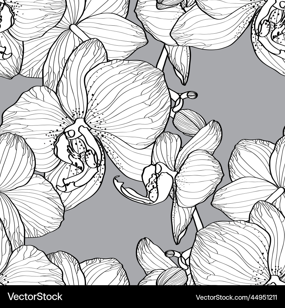 Tropical exotic orchids flowers pattern Royalty Free Vector