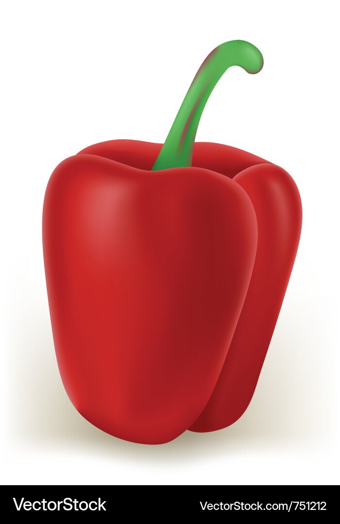 Sweet pepper Royalty Free Vector Image - VectorStock