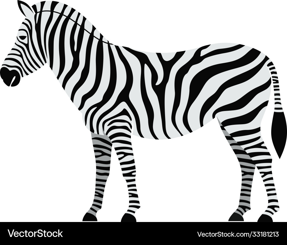Zebra Royalty Free Vector Image - VectorStock