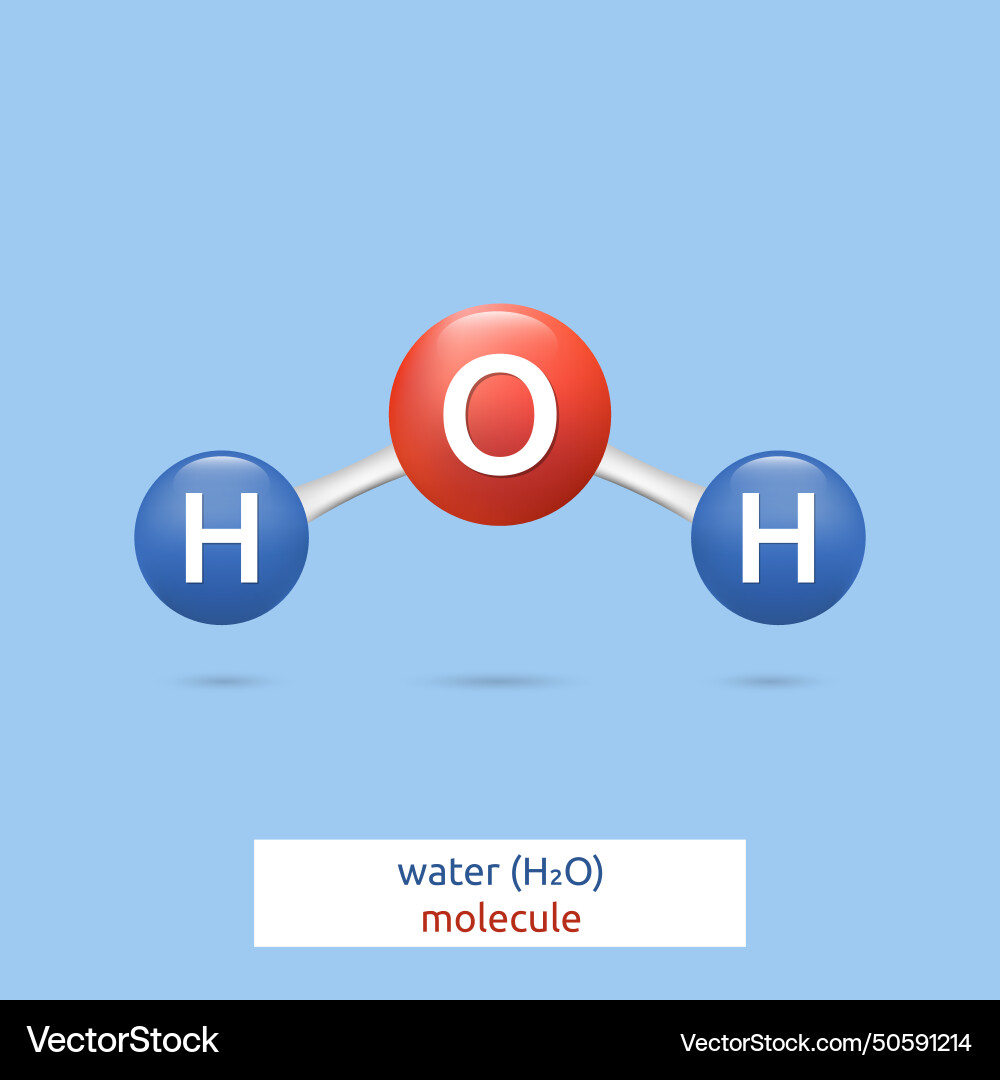 Water h2o molecule integrated particles hydrogen Vector Image