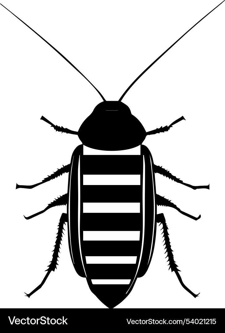 Cockroach sign symbol icon silhouette Royalty Free Vector