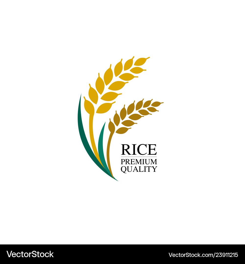Premium rice great quality design concept Vector Image