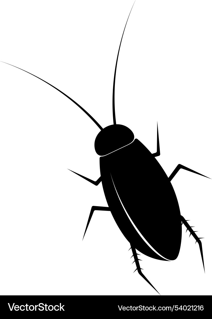 Cockroach icon Royalty Free Vector Image - VectorStock