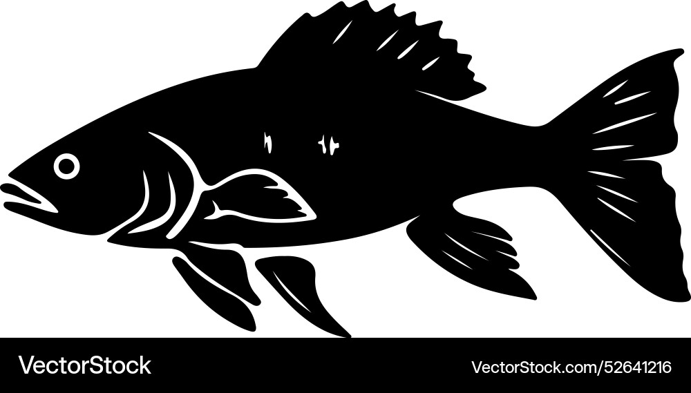 Coelacanth fish silhouette white background Vector Image