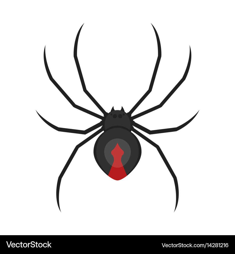 Flat style of spider Royalty Free Vector Image