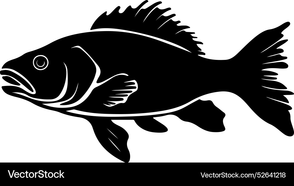 Coelacanth fish silhouette white background Vector Image