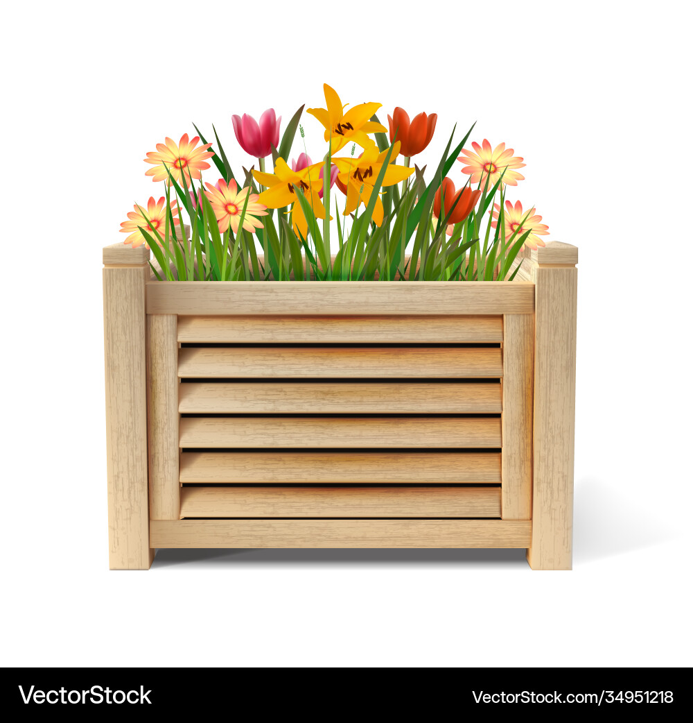 Flowers in a wooden box Royalty Free Vector Image