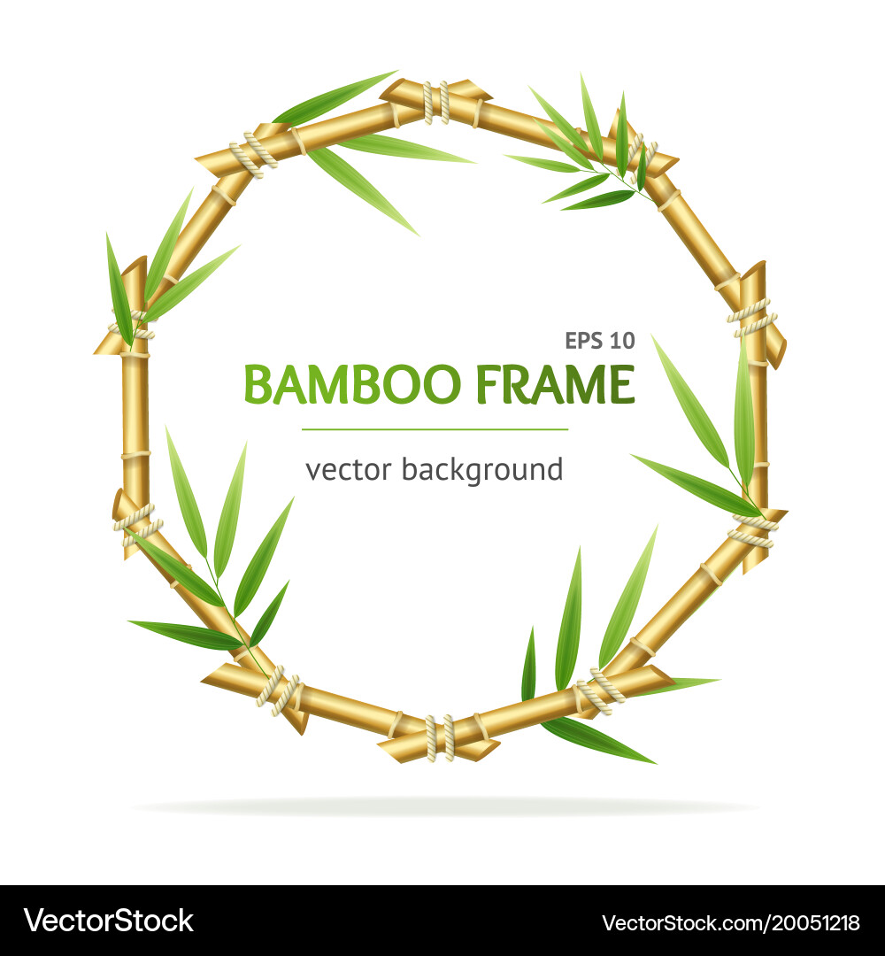 Realistic 3d detailed bamboo shoots circle frame Vector Image