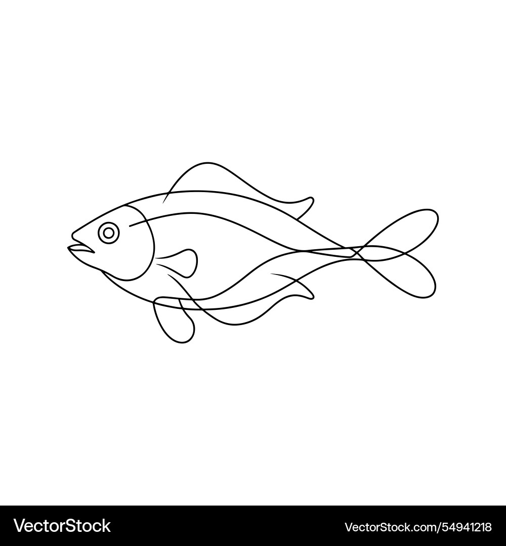 Sole fish continuous line art flat on white Vector Image