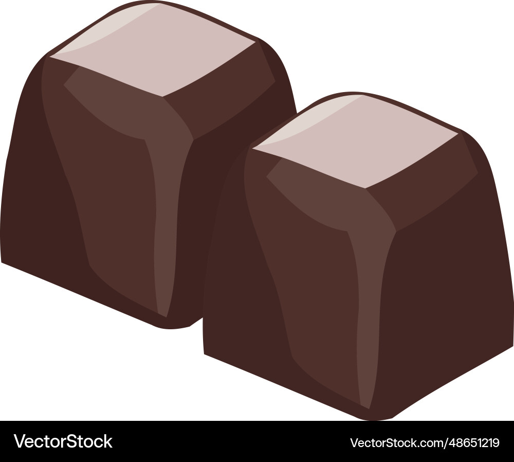 Gourmet chocolate dessert Royalty Free Vector Image