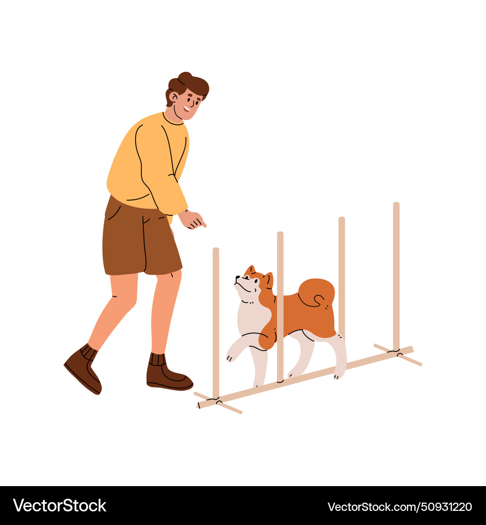 Fluffy dog training does agility exercises owner Vector Image