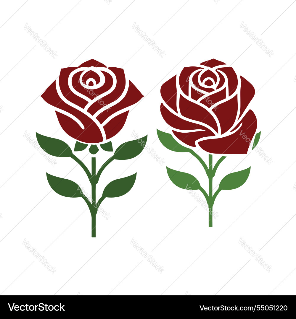 Rose artwork Royalty Free Vector Image - VectorStock