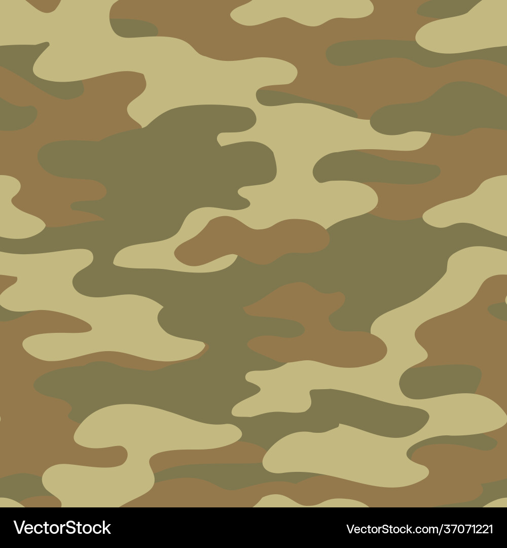 Abstract camouflage seamless pattern camo Vector Image