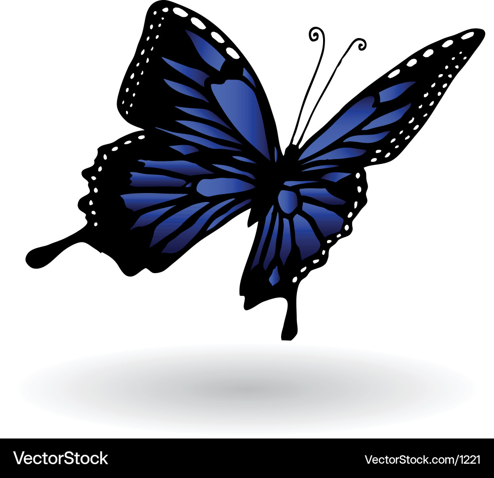Blue butterfly Royalty Free Vector Image - VectorStock