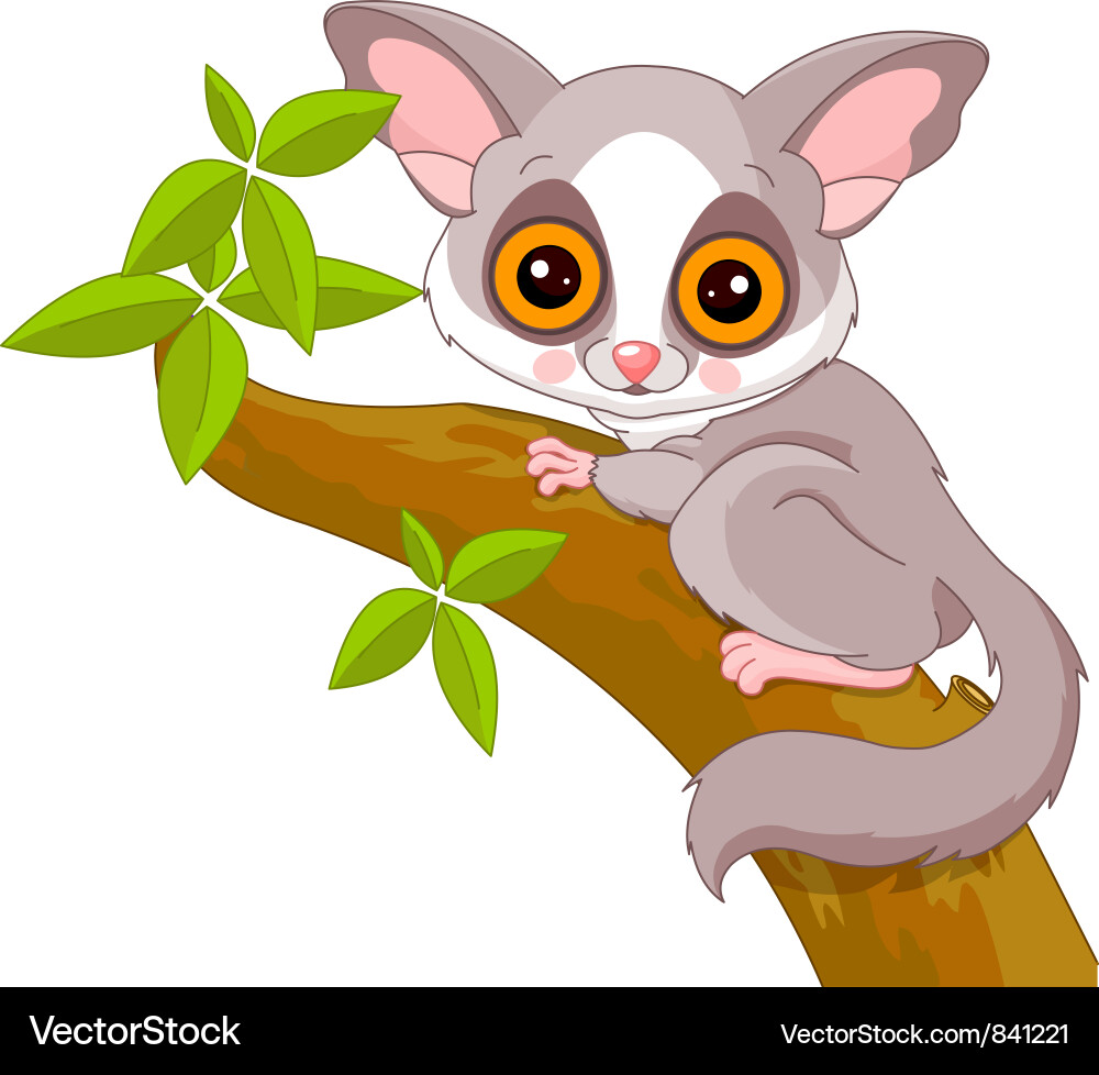 Cartoon galago Royalty Free Vector Image - VectorStock