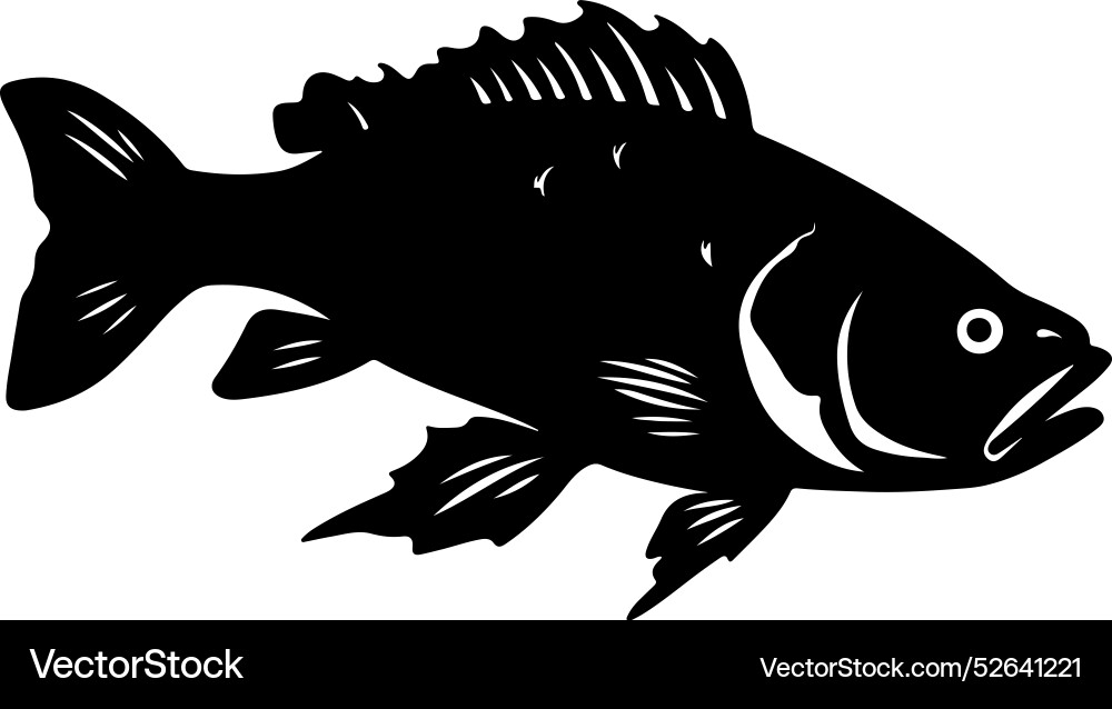 Coelacanth fish silhouette white background Vector Image