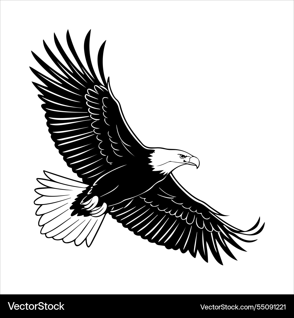 Flying eagle art Royalty Free Vector Image - VectorStock