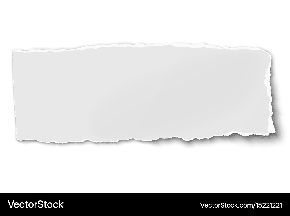 White oblong paper tear isolated on Royalty Free Vector