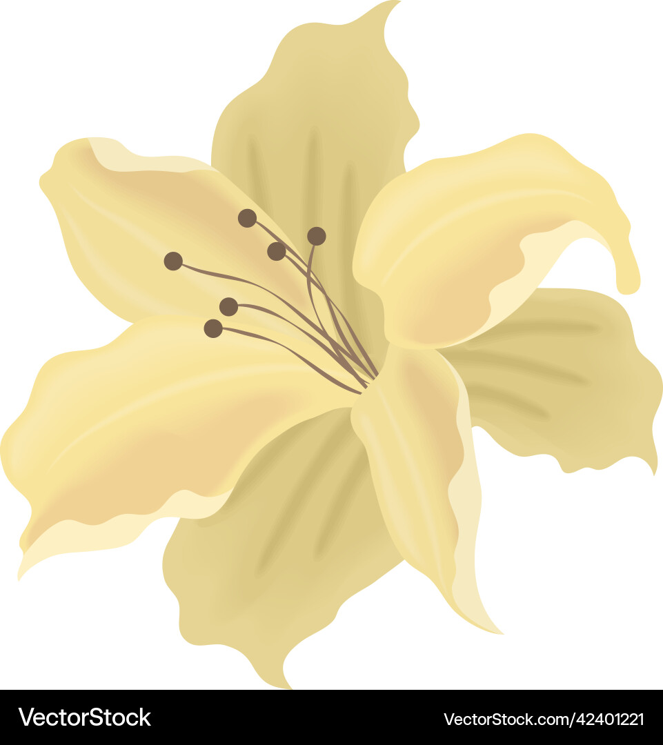 Yellow flower garden Royalty Free Vector Image