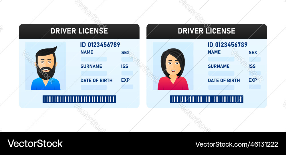 Driver's Licenses - Man & Woman Flat Design Vector Image
