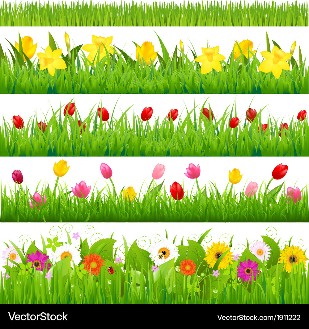 Flower borders set Royalty Free Vector Image - VectorStock