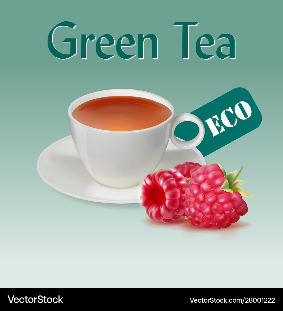 Raspberry tea Royalty Free Vector Image - VectorStock