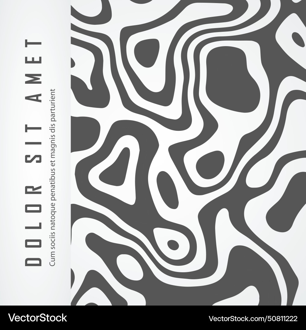 Topographic map patterns abstract pattern Vector Image