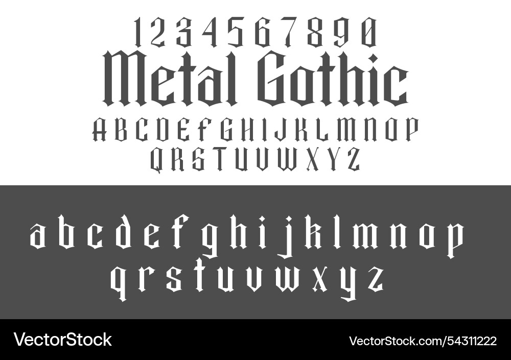 Typeface fonts Royalty Free Vector Image - VectorStock