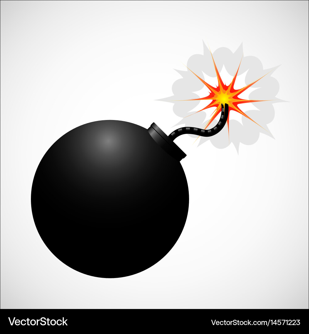 Bomb realistic icon Royalty Free Vector Image - VectorStock