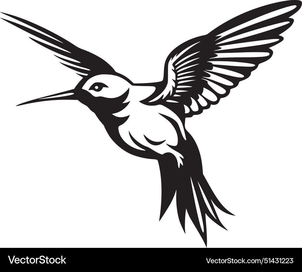 Hummingbird - black and white Royalty Free Vector Image