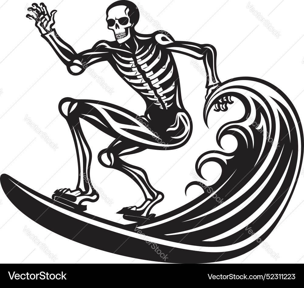 Skull splash cartoon skeleton design surfers Vector Image