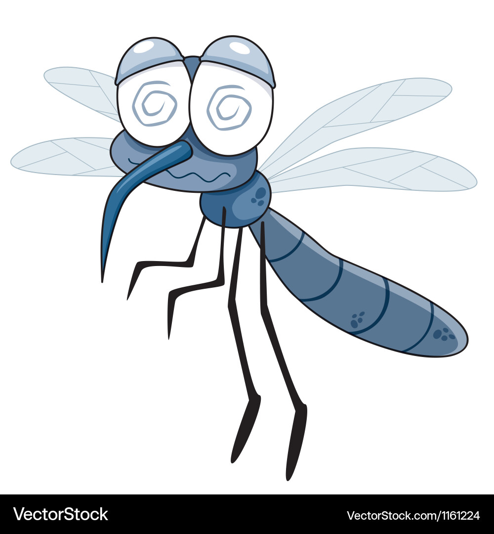 Mosquito Royalty Free Vector Image - VectorStock
