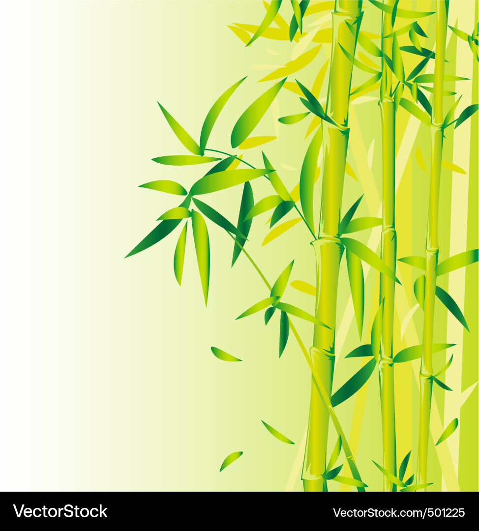 Bamboo Royalty Free Vector Image - VectorStock
