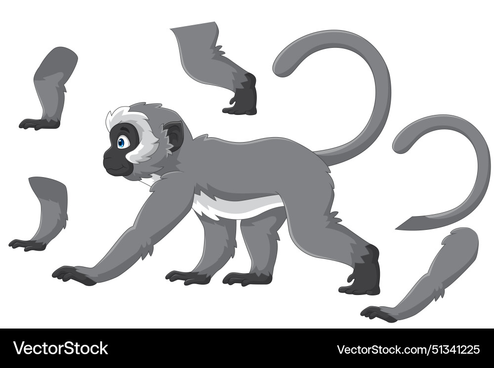 Cute vervet monkey cartoon walking Royalty Free Vector Image