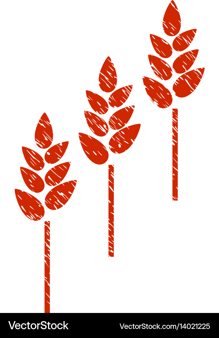 Wheat plants icon grunge watermark Royalty Free Vector Image
