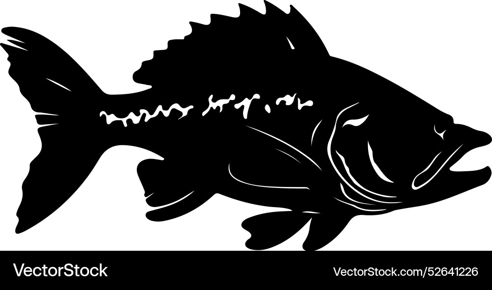 Coelacanth fish silhouette white background Vector Image