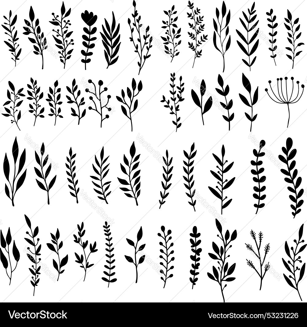 Set of hand drawn floral branches design element Vector Image