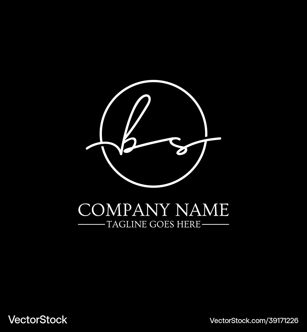 Signature initial name bs logo design b s Vector Image