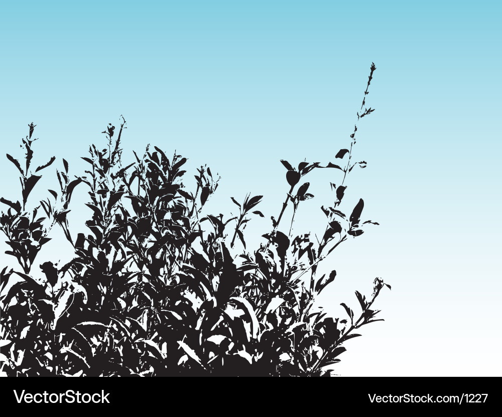 Blue Bush Silhouette Royalty Free Vector Image