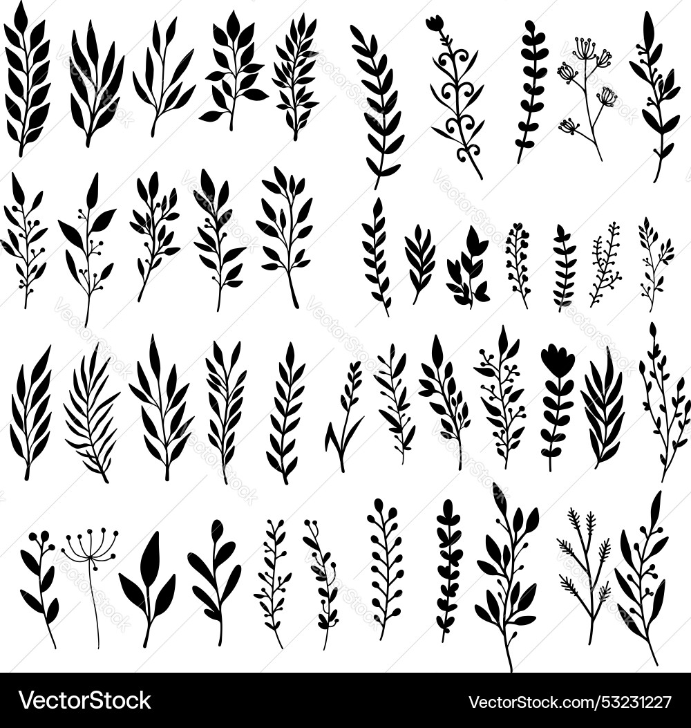 Set of hand drawn floral branches design element Vector Image