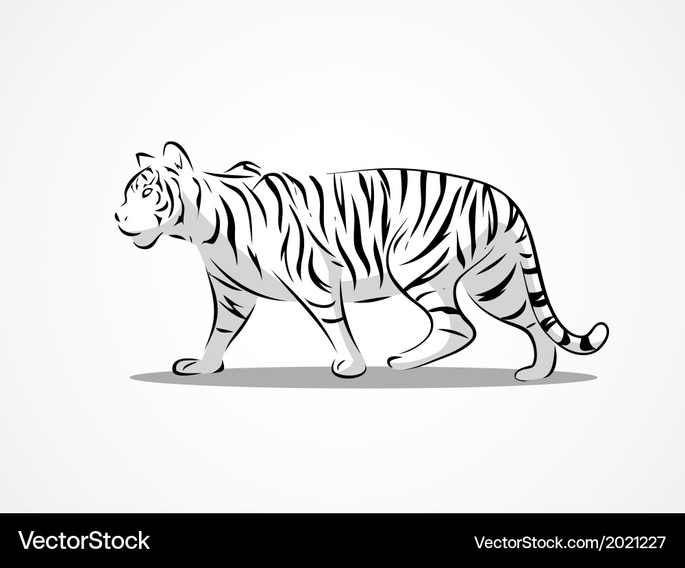 Tiger side 2 Royalty Free Vector Image - VectorStock