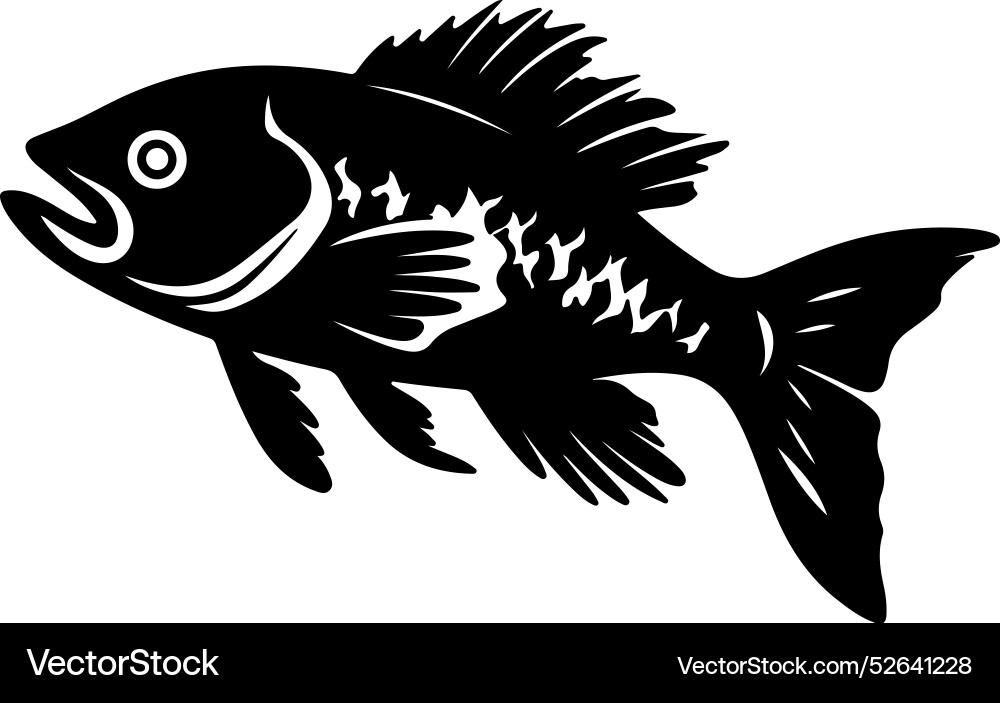 Coelacanth fish silhouette white background Vector Image