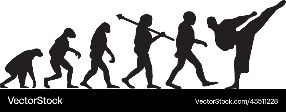 Evolution martial arts – Royalty-Free Vector | VectorStock