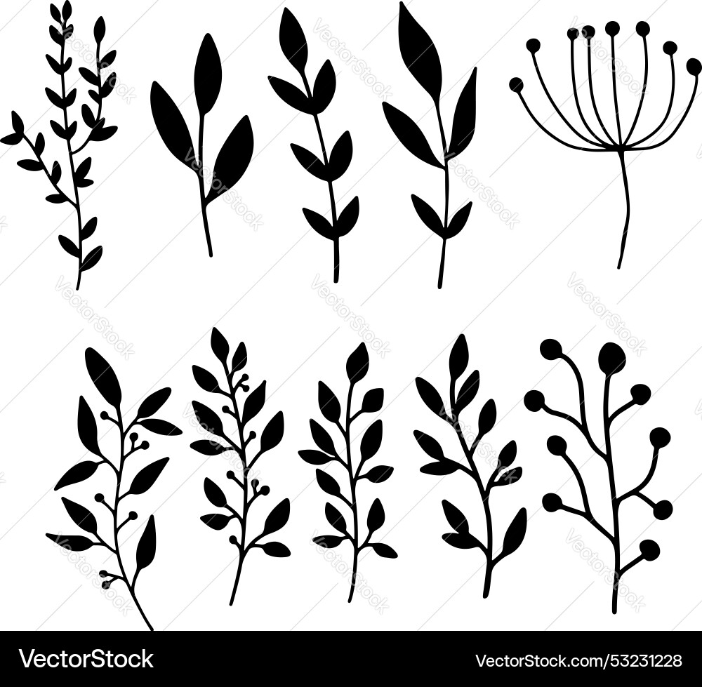 Set of hand drawn floral branches design element Vector Image