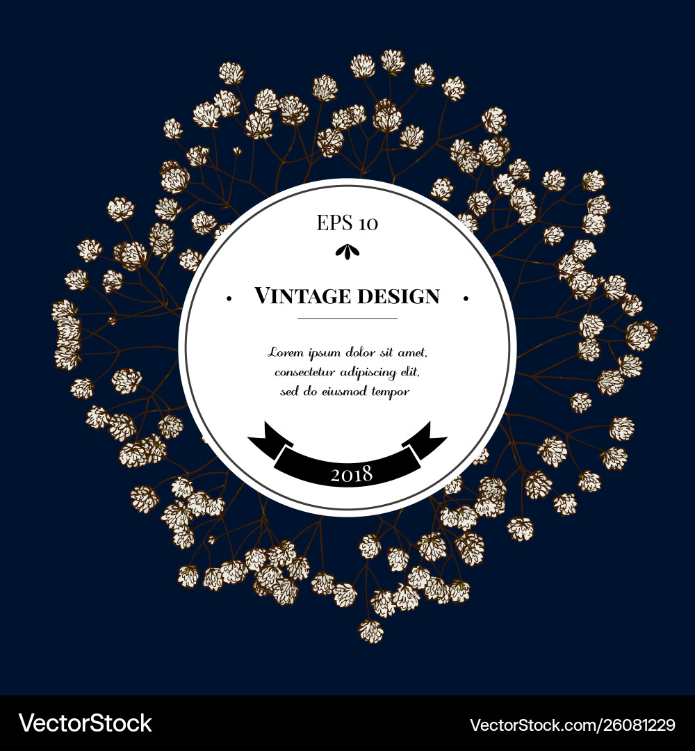 Badge over design with gypsophila Royalty Free Vector Image