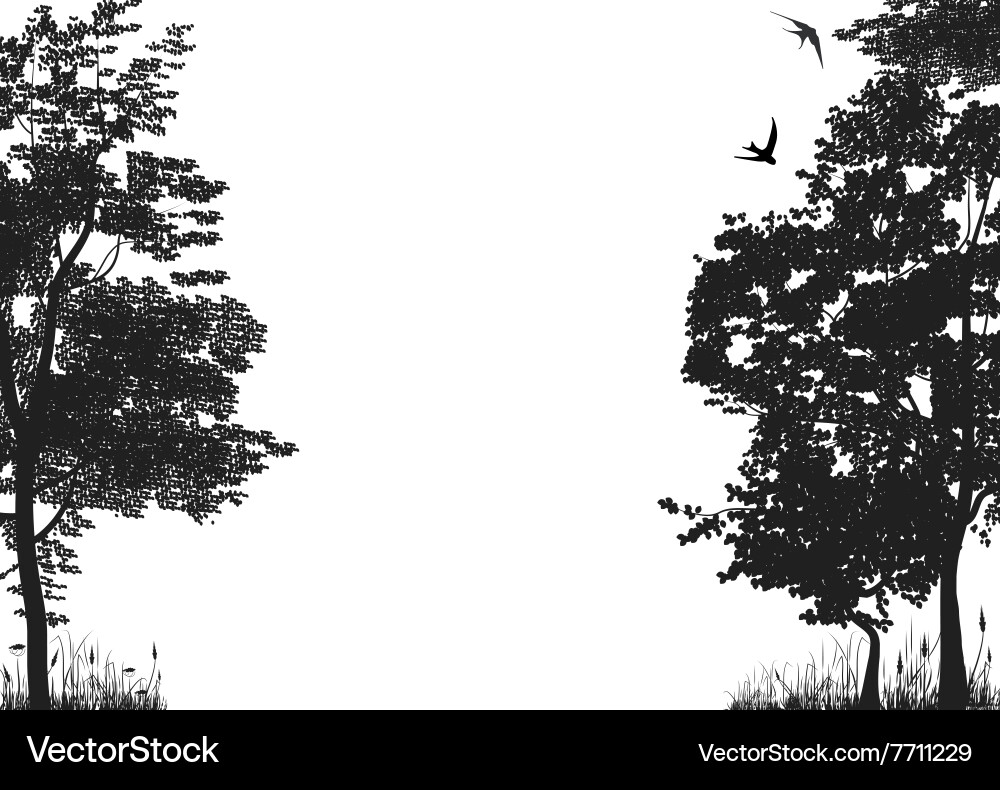 Forest Royalty Free Vector Image - VectorStock