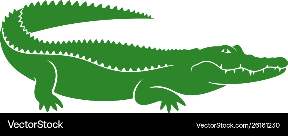 Crocodile Royalty Free Vector Image - VectorStock