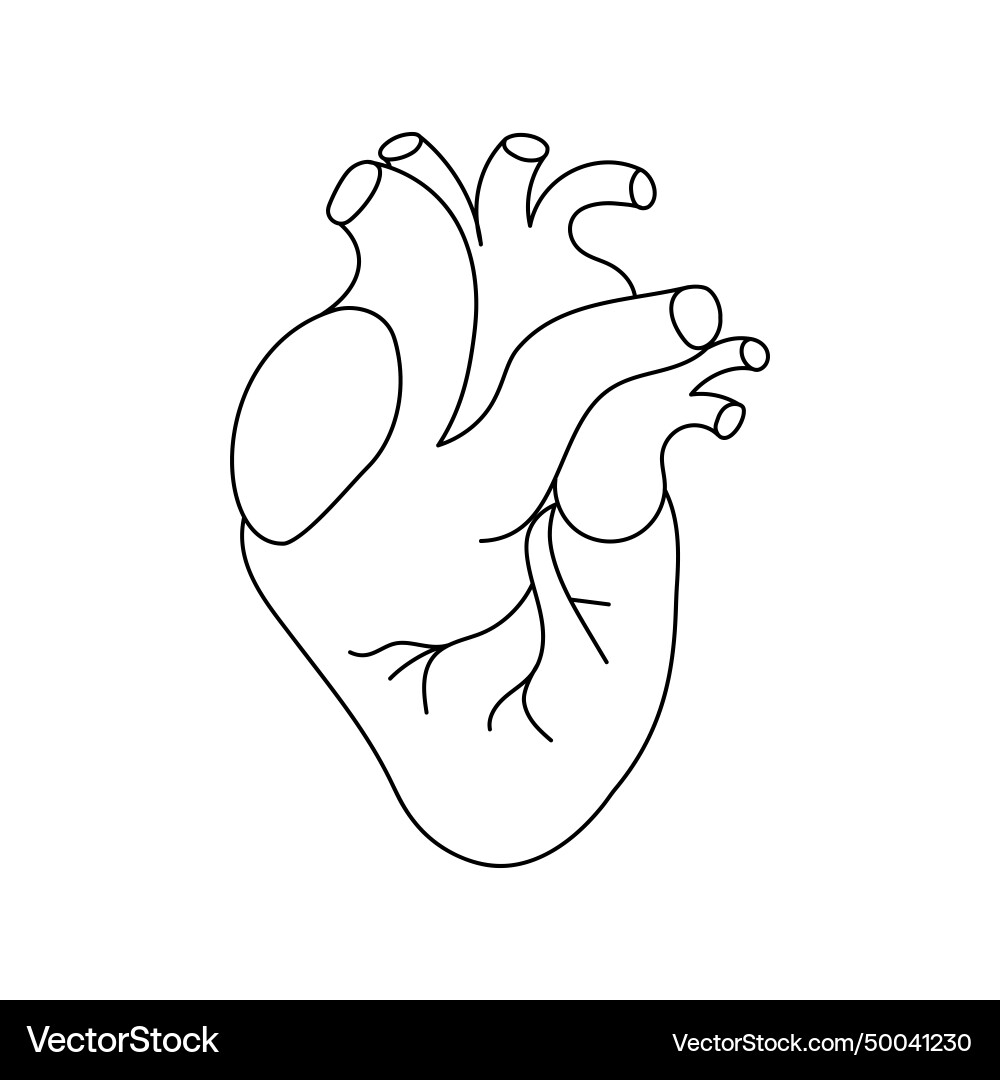 Black And White Human Heart