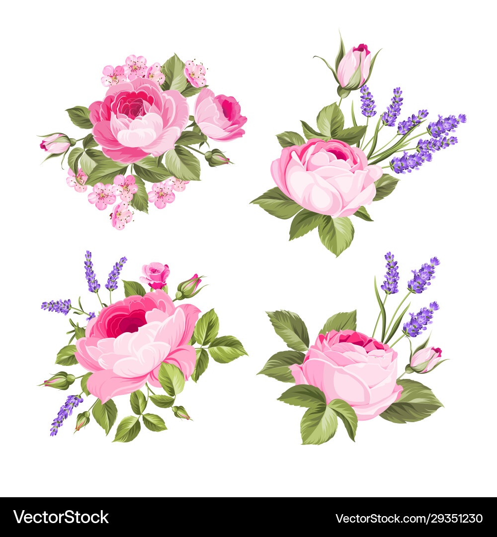 Set blooming flowers for your design Royalty Free Vector