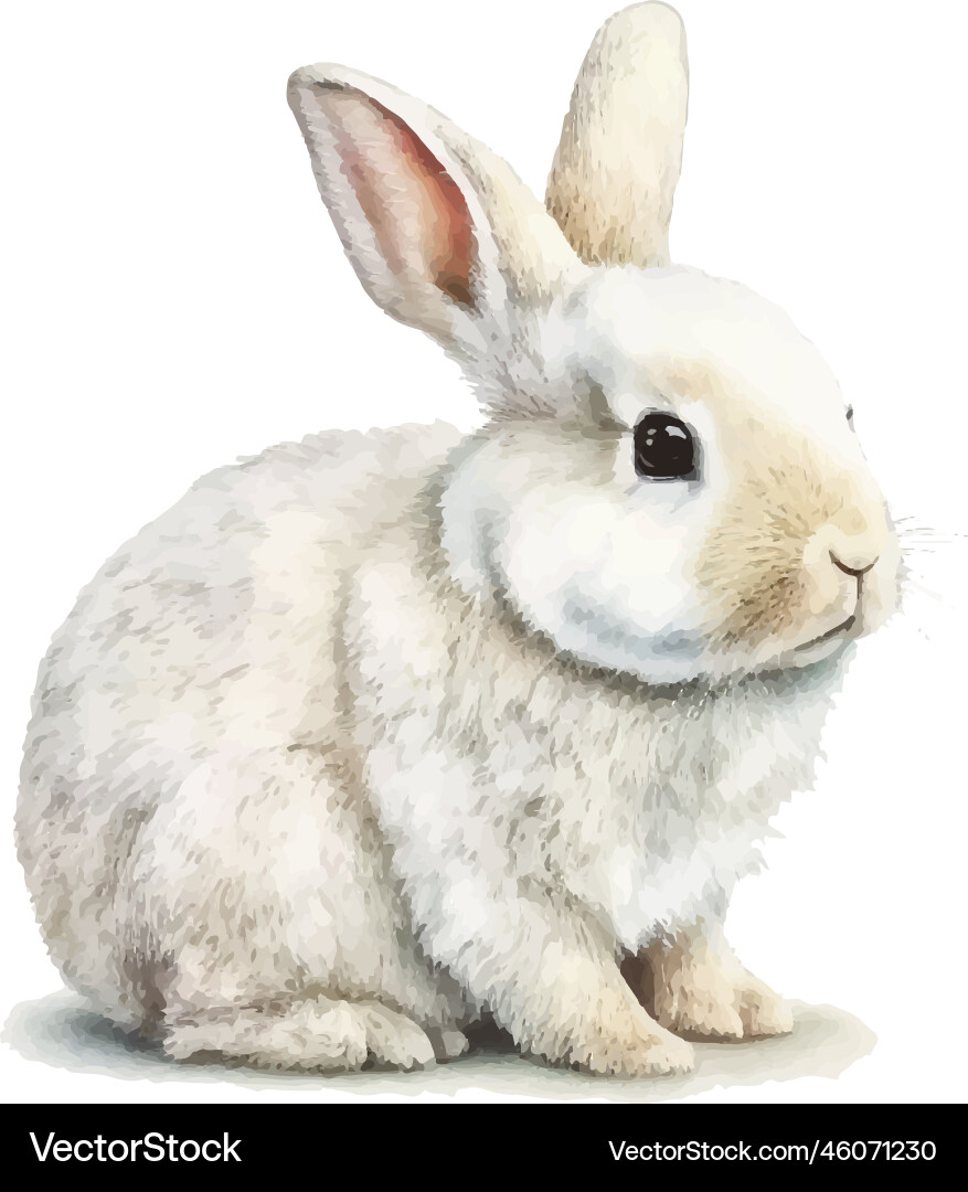 Watercolor easter bunny rabbit on white background